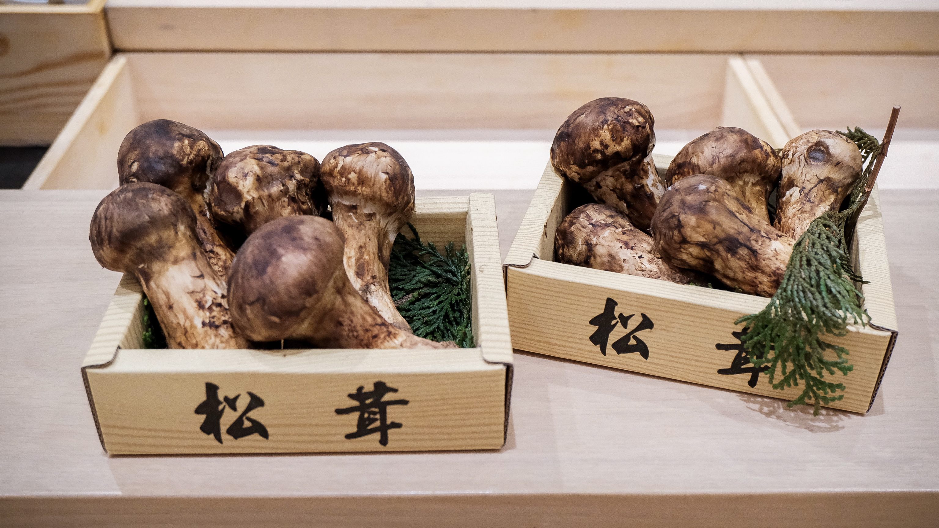 The Mysterious Allure of Matsutake: A Taste of Autumn at Sushi Kuuya ...